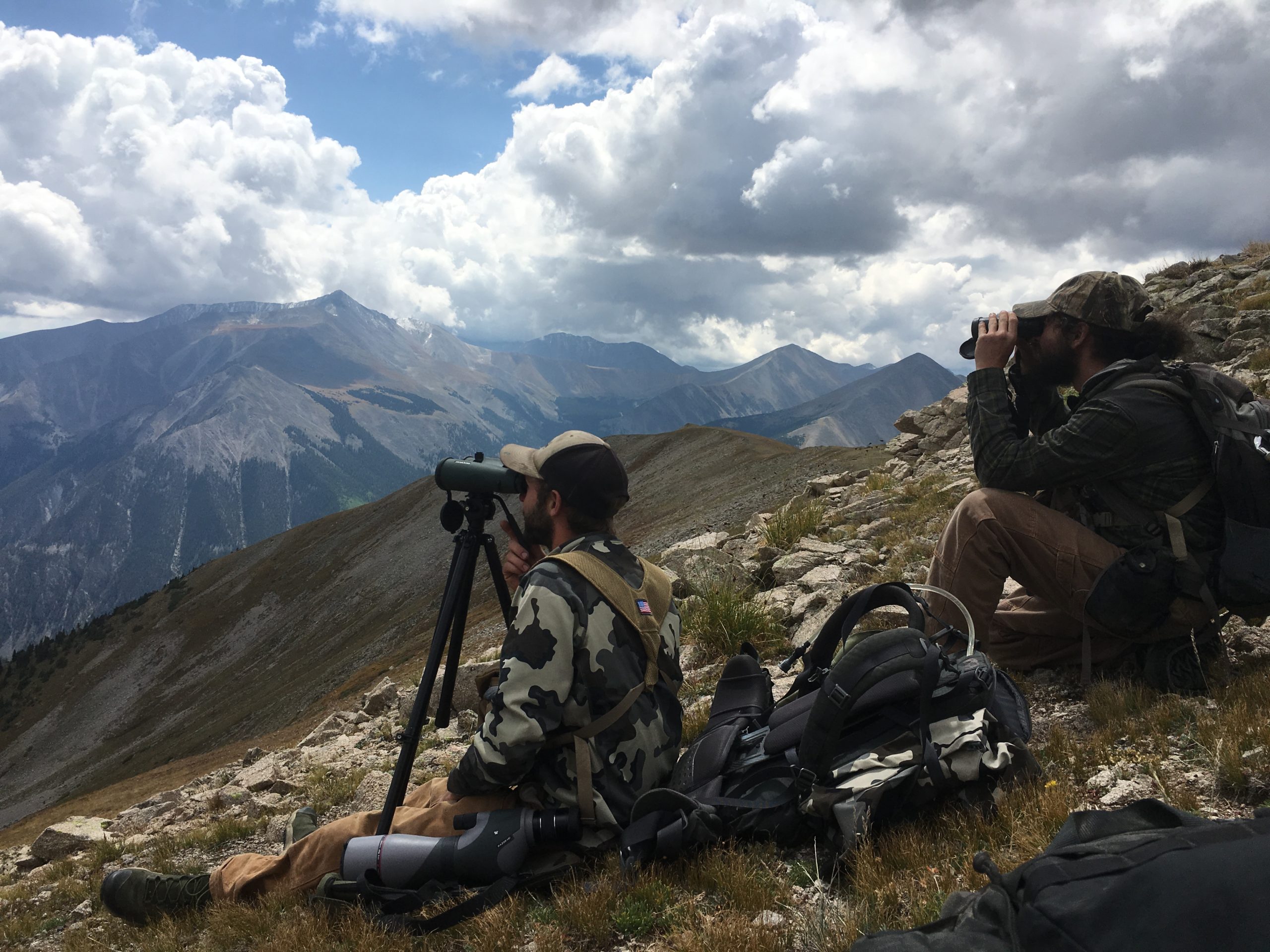 Mountain Goat Behavior and Hunting Strategy - Pursuit with Cliff